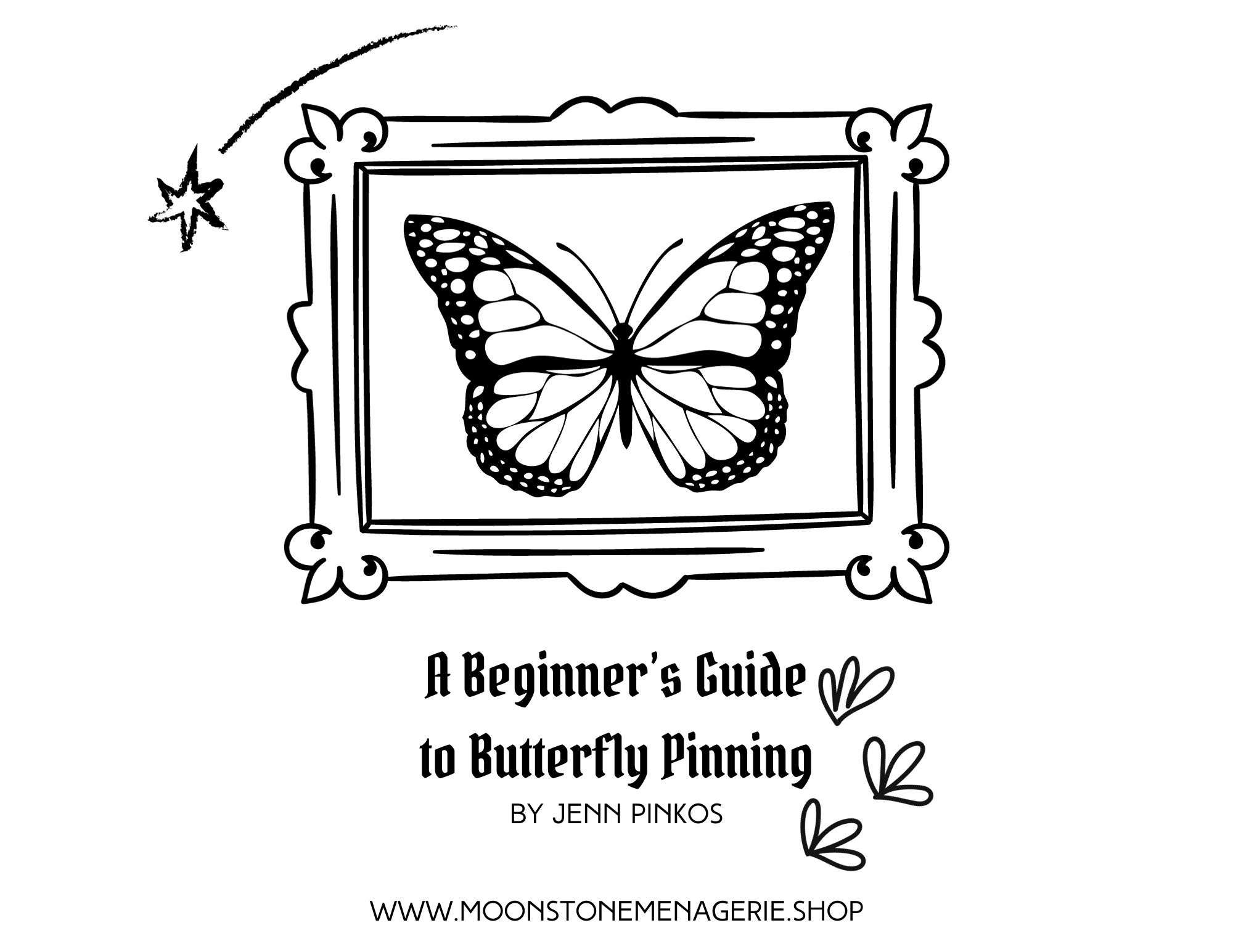 Beginner's Guide to Pinning Butterflies Digital Guide - Etsy