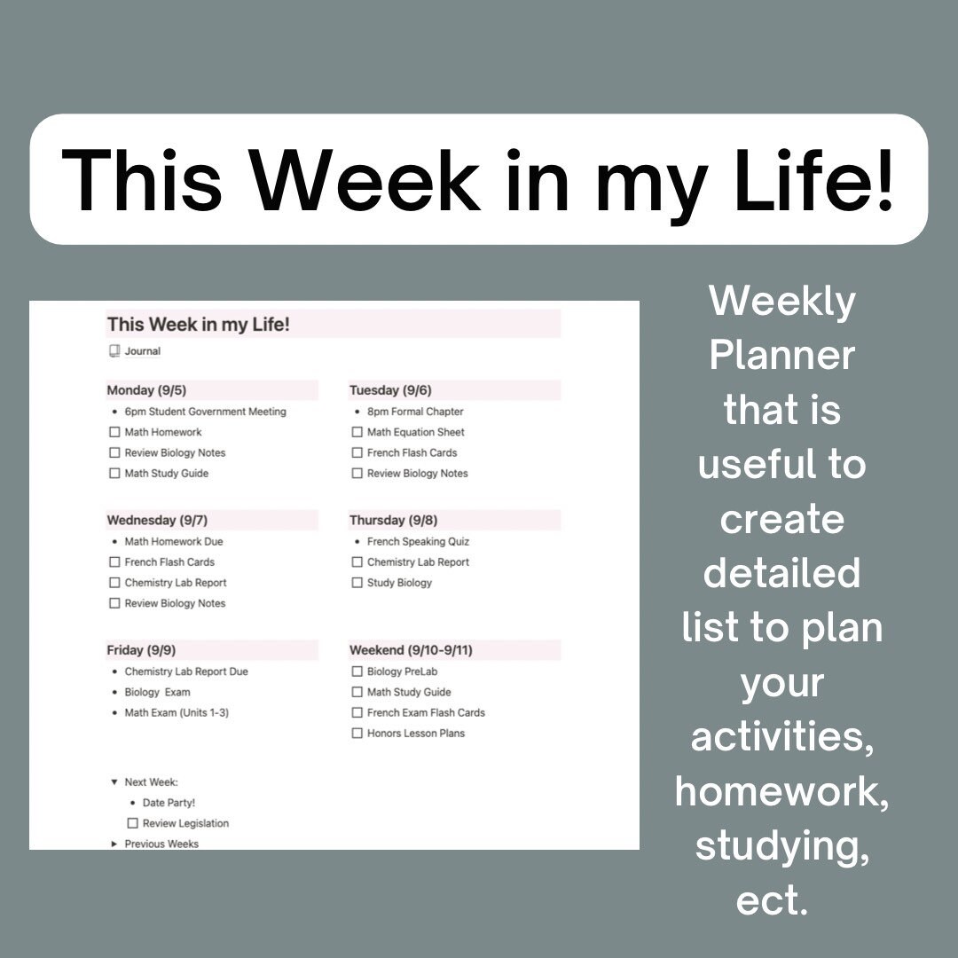 Notion Academic Template - Simple College Notion Template ...