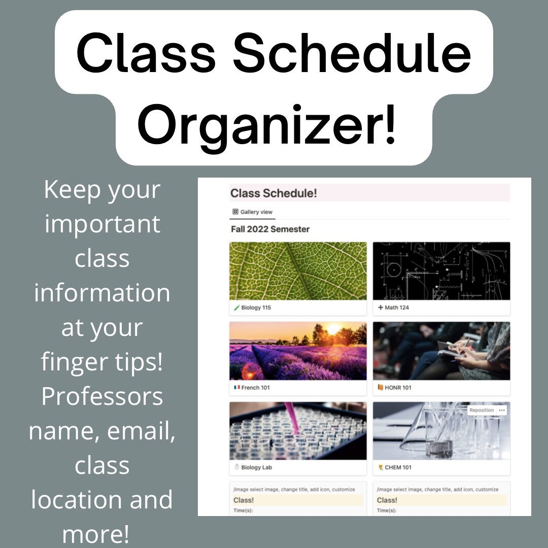 Notion Academic Template - Simple College Notion Template ...
