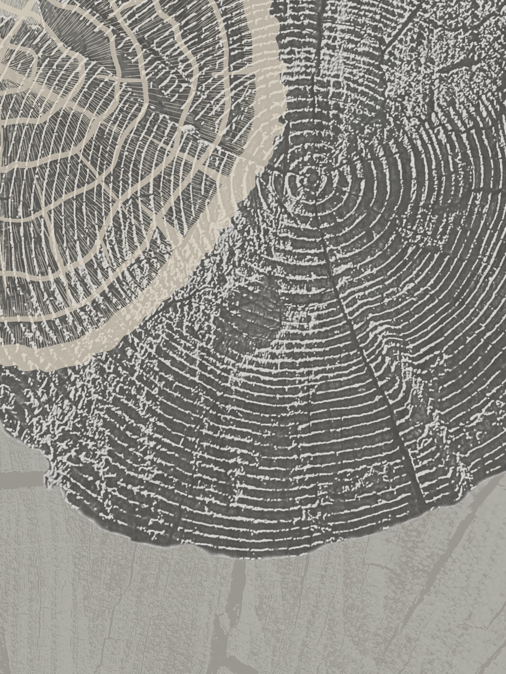 Tree Ring Printable Tree Stump Prints Digital Print Set of 3 Modern ...