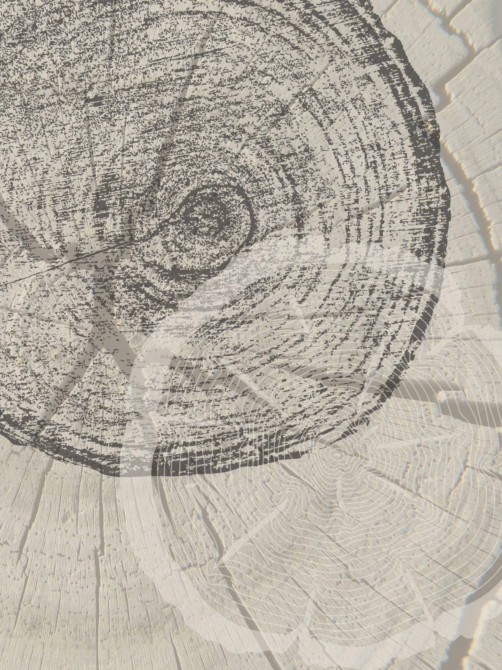 Tree Ring Printable Tree Stump Prints Digital Print Set of 3 Modern ...