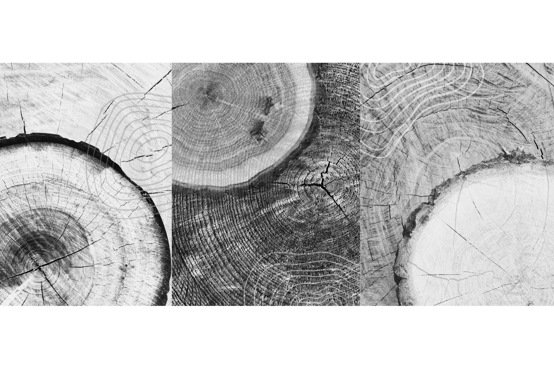 Tree Ring Printable Tree Stump Prints Digital Print Set of 3 Beige Tree ...