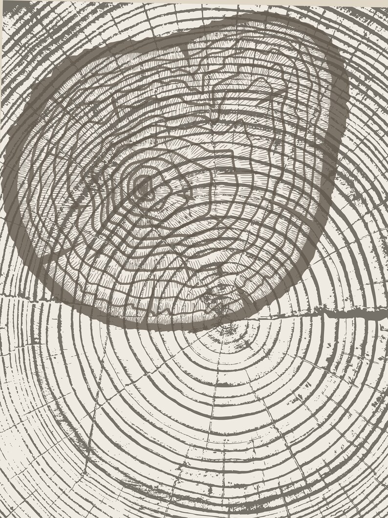 Tree Ring Print Set of 3, Beige Neutral Woodcut (digital Print) - Etsy