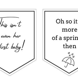 Schitt's Creek Baby Shower/sprinkle Bunting - Etsy UK