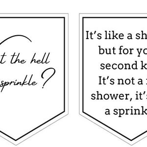 Schitt's Creek Baby Shower/sprinkle Bunting - Etsy