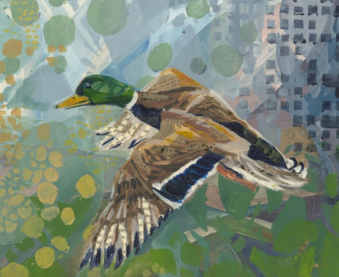 Original Acrylic Painting and Hand Printed Collage of a Mallard Duck ...
