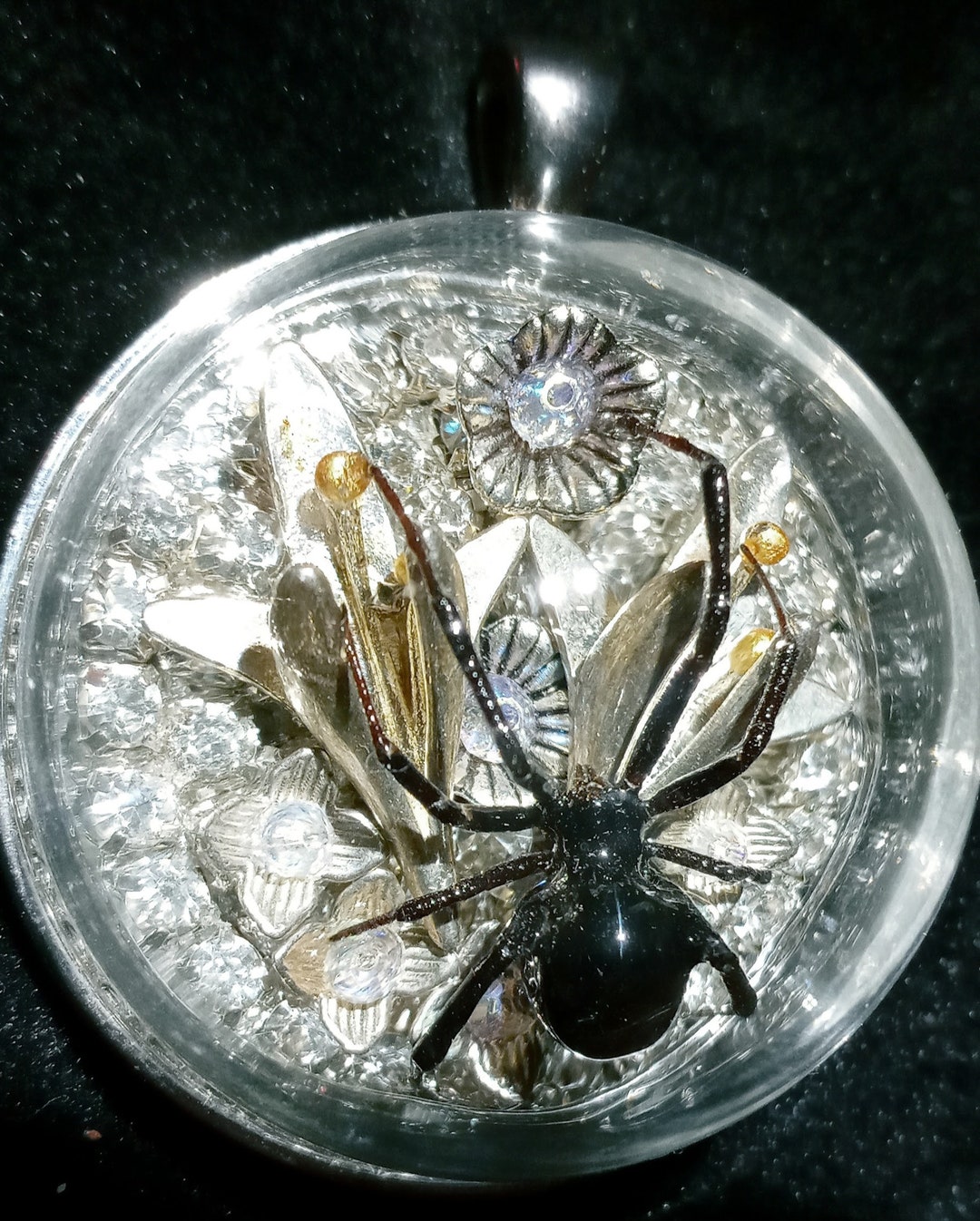 Real Black Widow Spider Pendant Necklace Jewelry Preserved Gothic ...