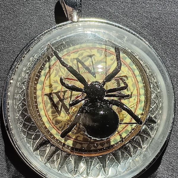 Real Spider Preserved Pendant - Etsy