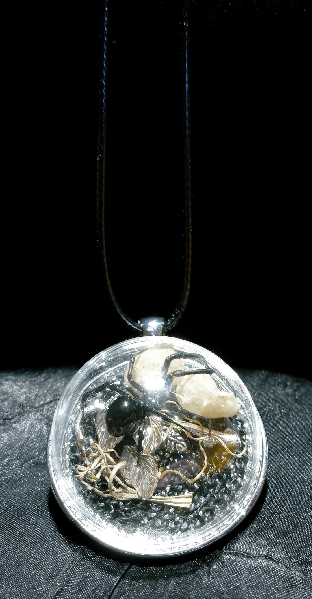 Real Black Widow Spider With Her Real Egg Sacs Both Fully Preserved on ...