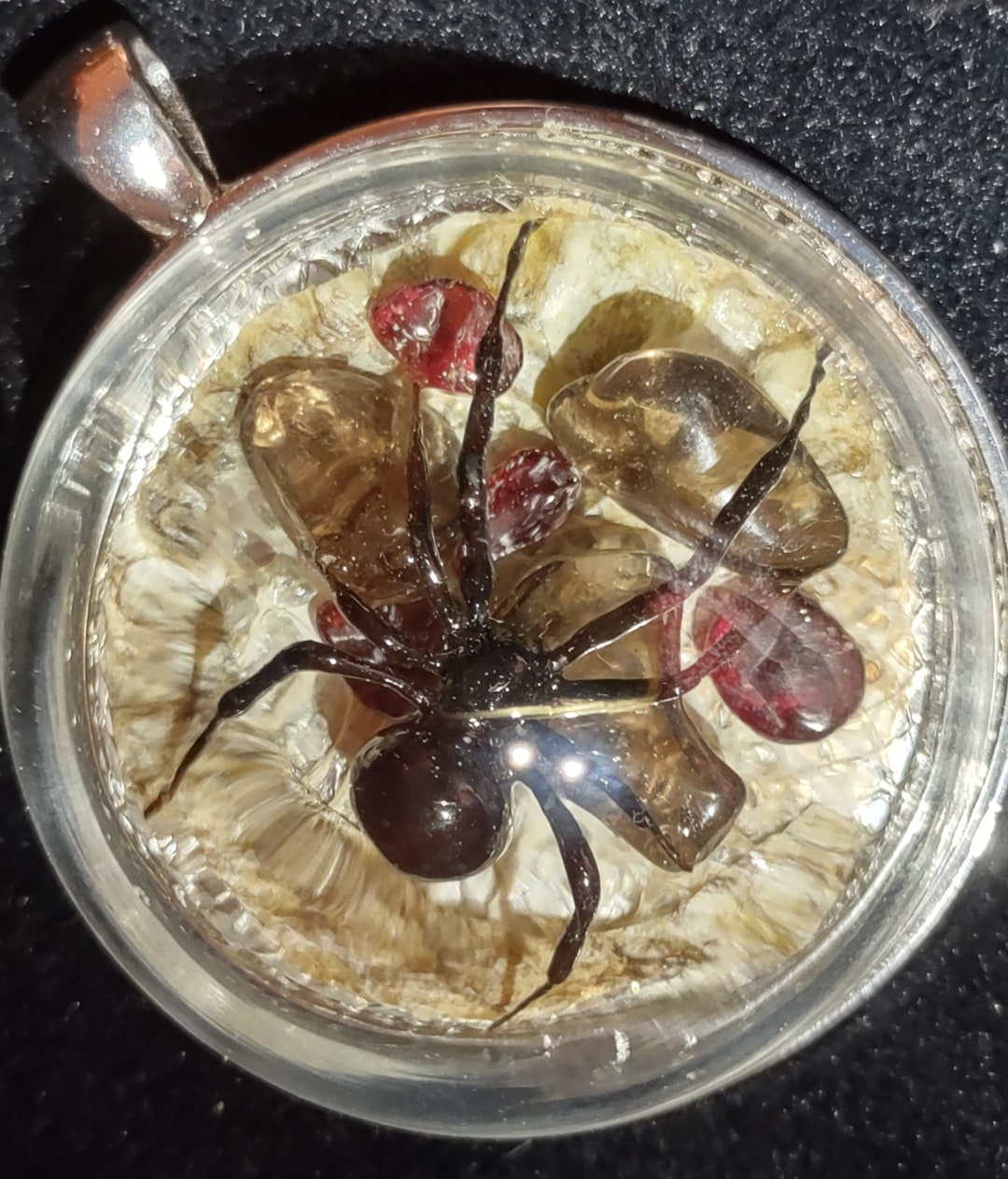 Real Black Widow Spider Pendant Necklace Real Diamondback Rattlesnake ...