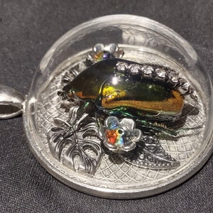 Real Green June Bug Beetle Pendant Necklac Clear Glass Crystals AB ...