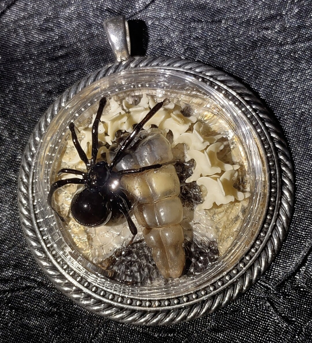 Real Black Widow Spider Necklace With the Diamondback Rattlesnake ...