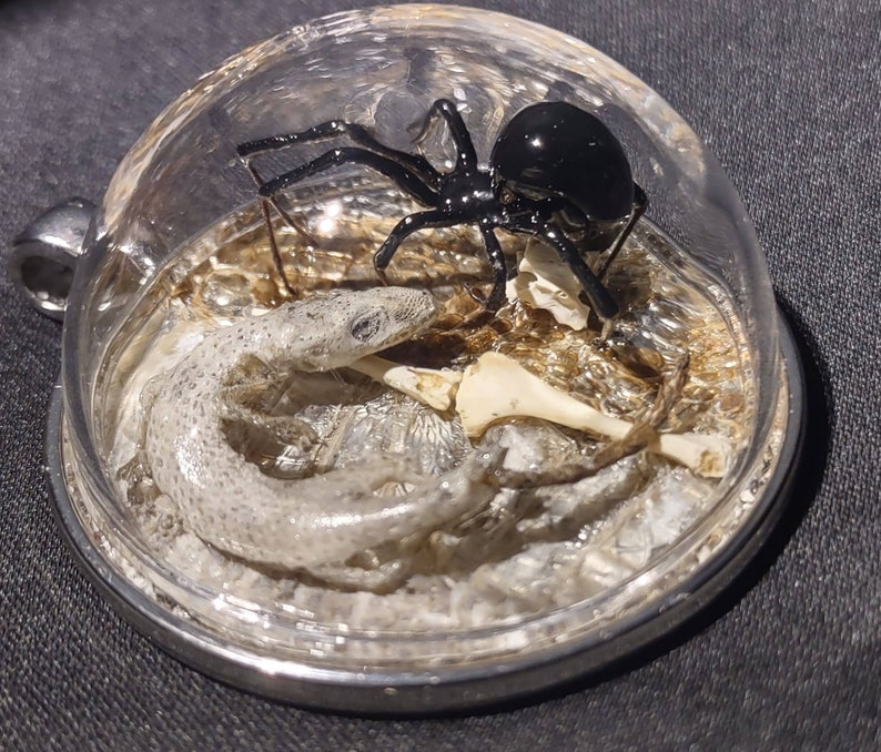 Real Black Widow Spider Pendant Necklace With a Baby Lizard and Lizard ...