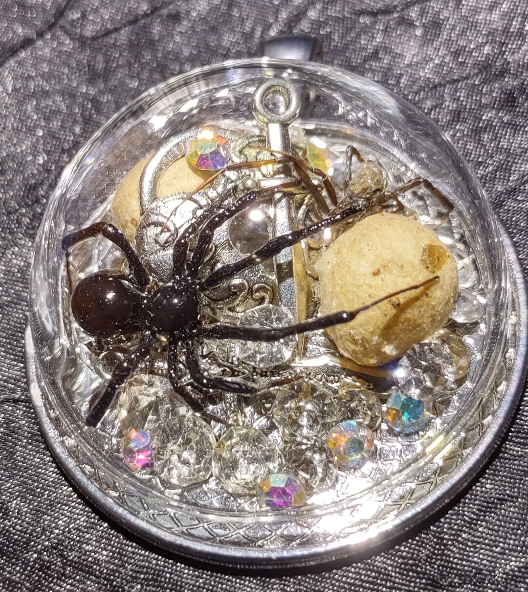 Real Female and Male Black Widow Spider Pendant Necklace She Guards ...