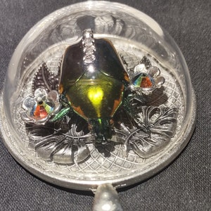 Real Green June Bug Beetle Pendant Necklac Clear Glass Crystals AB ...