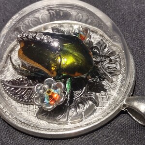 Real Green June Bug Beetle Pendant Necklac Clear Glass Crystals AB ...