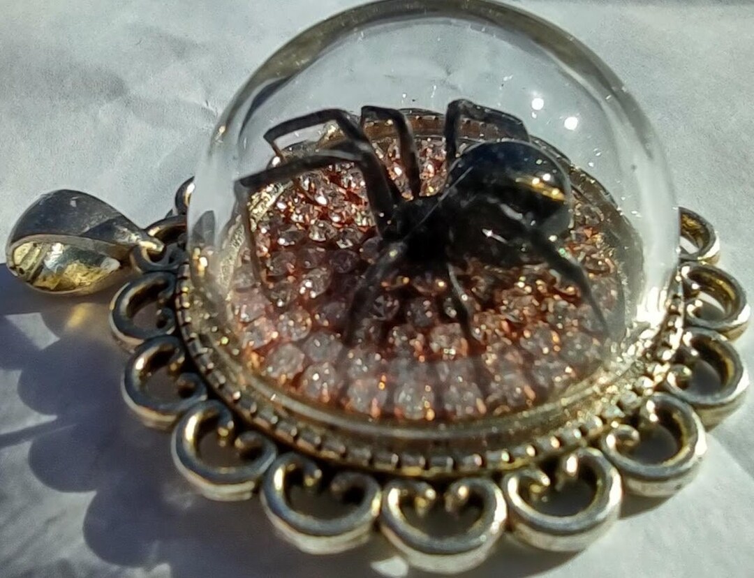 Real Black Widow Spider Pendant Necklace Gothic Jewelry Preserved ...