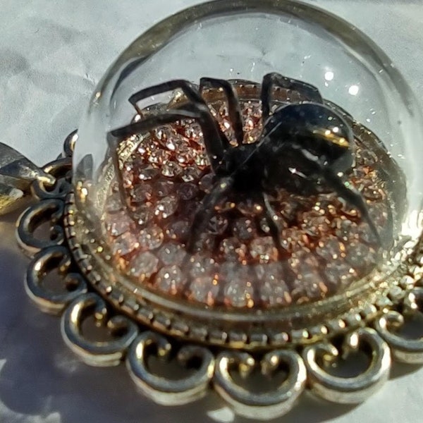 Real Spider Necklace - Etsy