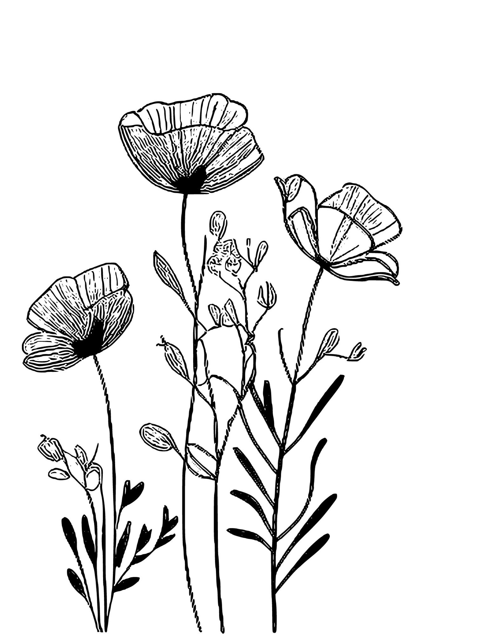 Wildflower Coloring Pages - Etsy