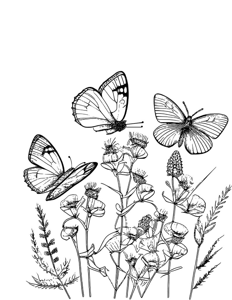 Wildflower Coloring Pages - Etsy