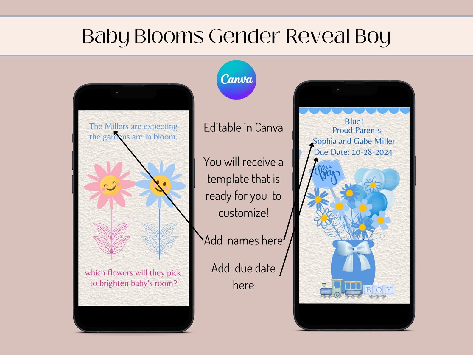 Digital Gender Announcement Boy, Pregnancy Announcement Boy, Its a Boy ...