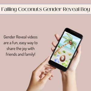 Falling Coconuts Digital Gender Announcement, Gender Reveal Video Boy, Animated Video Template ...
