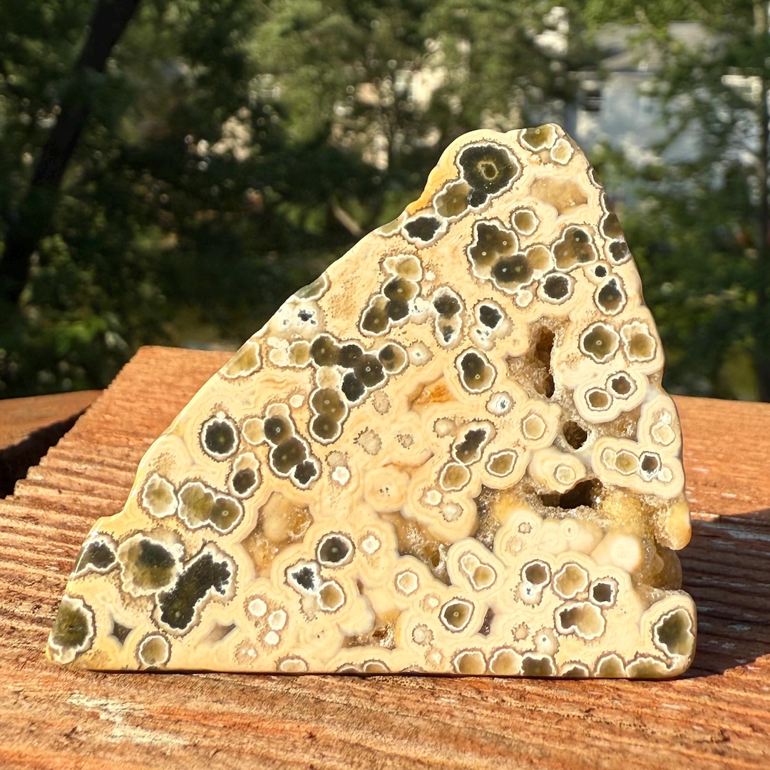 8th Vein Ocean Jasper Slab | 50g | Cream, Olive & Honey Orbicular ...