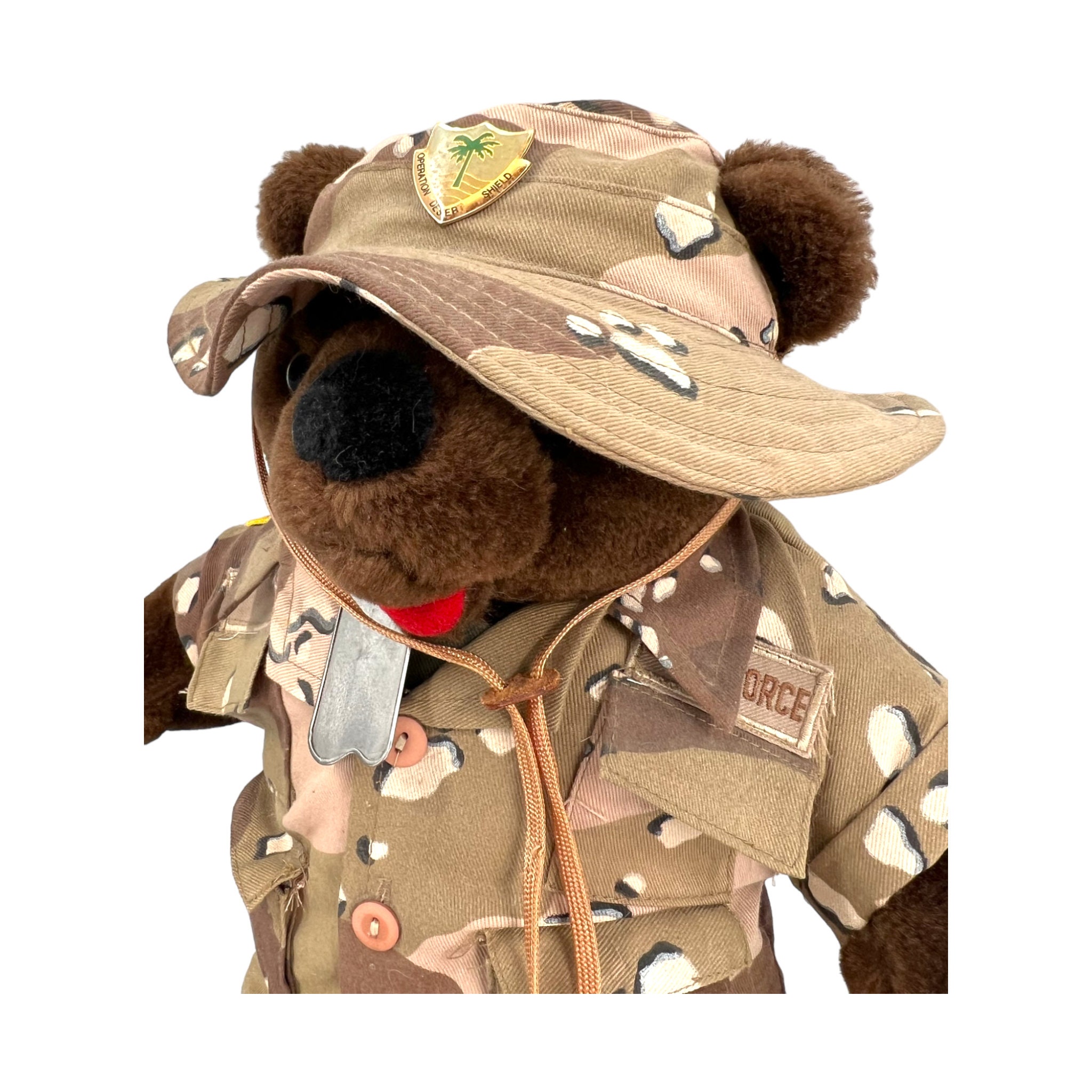 Bear Forces of America Air Force 22 - Etsy