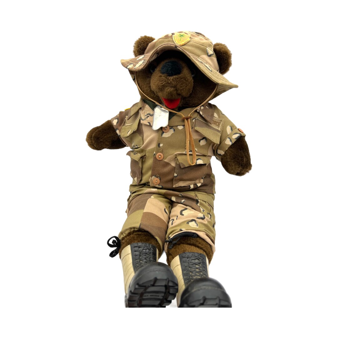 Bear Forces of America Air Force 22 - Etsy