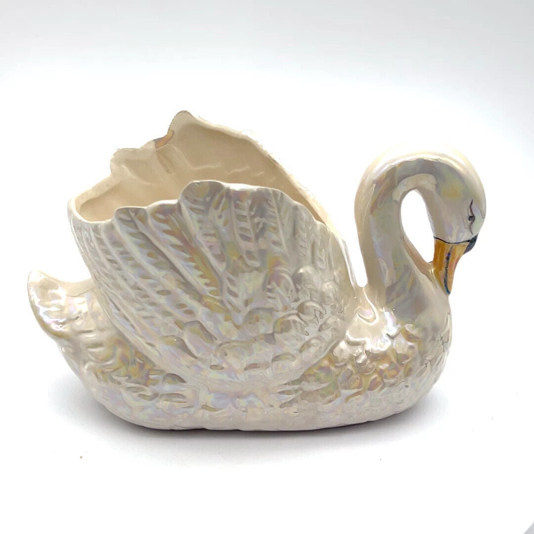 Swan Glossy Iridescent Rainbow Finish Small - Etsy