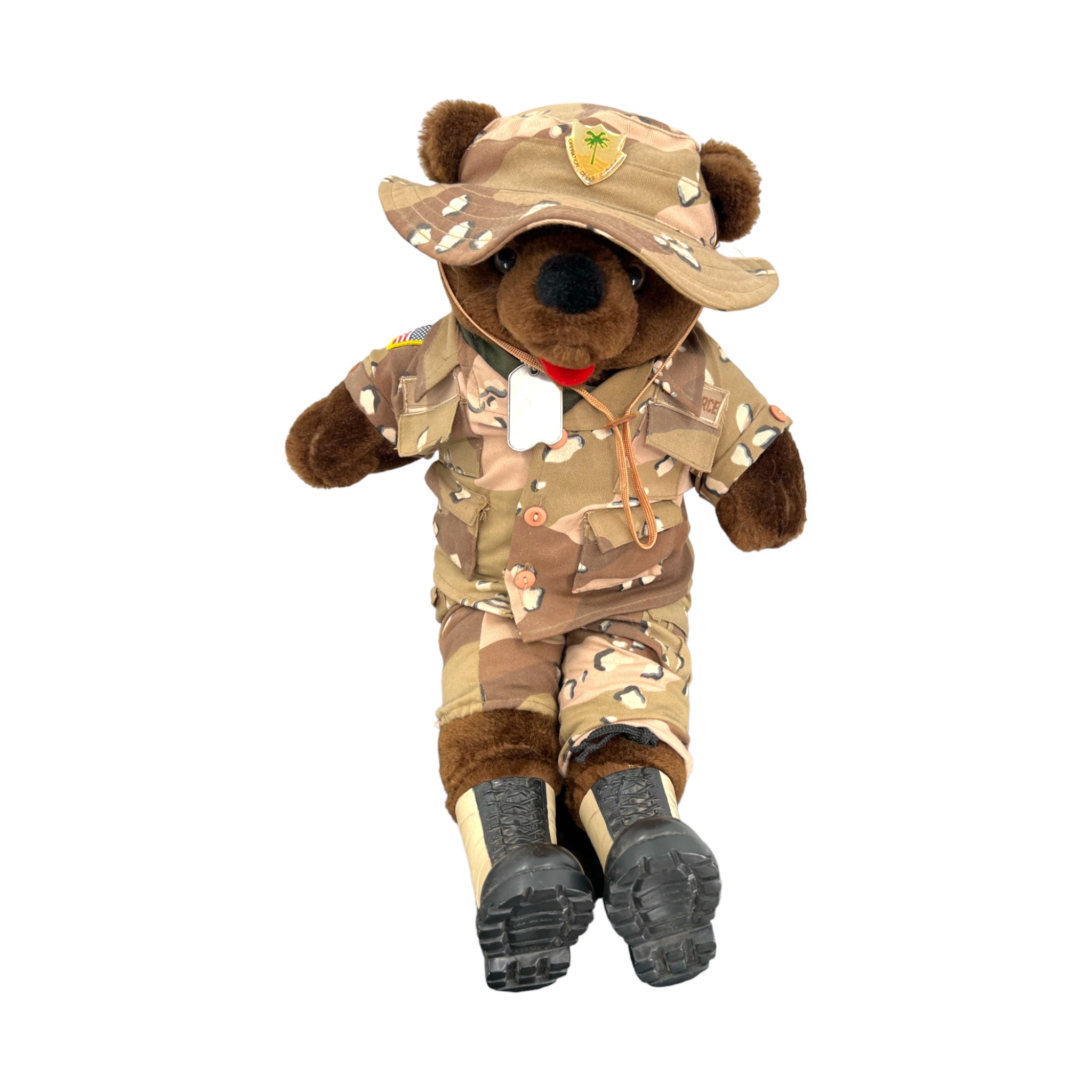 Bear Forces of America Air Force 22 - Etsy