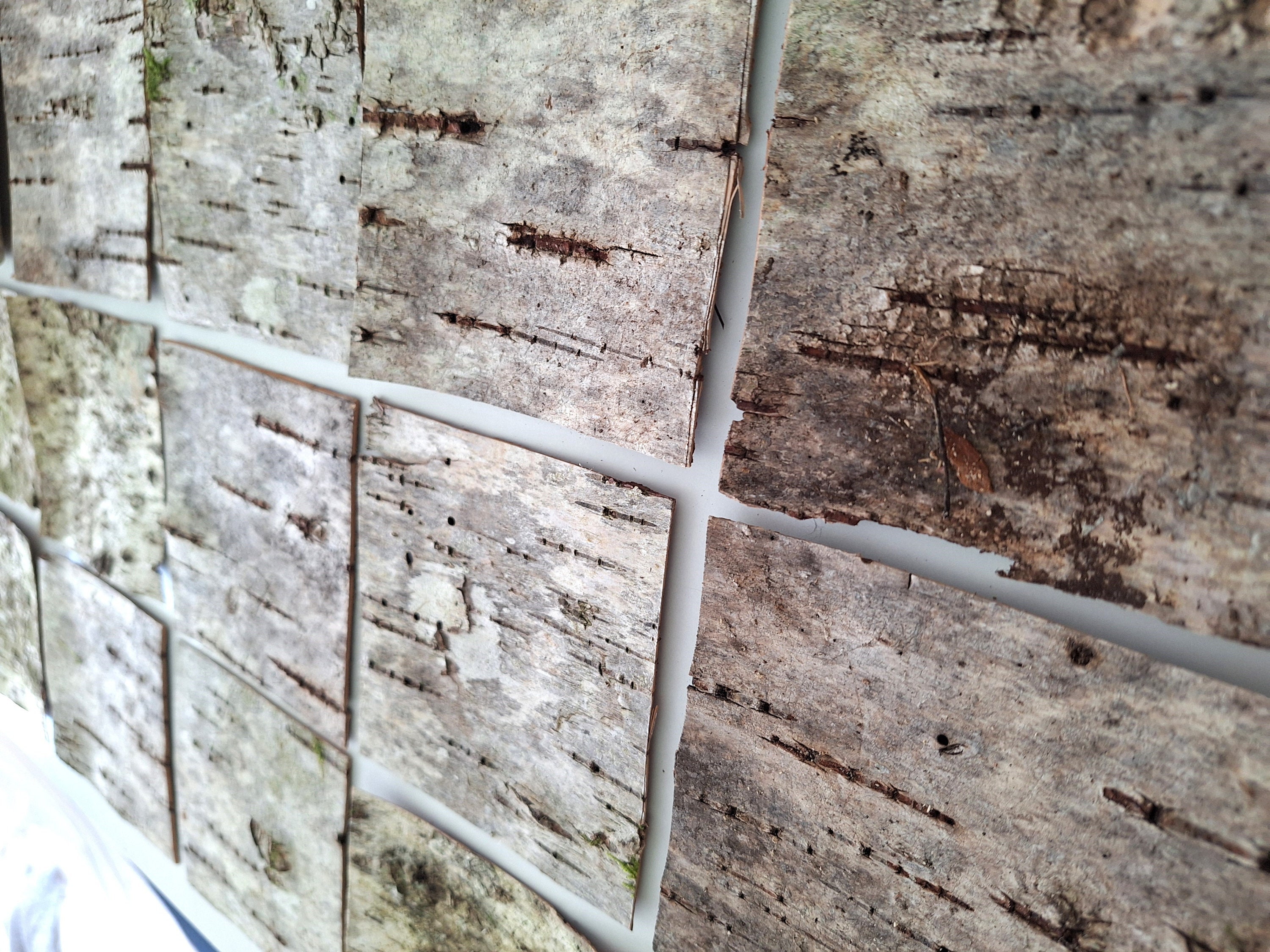 6 White Birch Bark Sheets. Birch Bark Decor.birch Sheets Craft. Birch ...