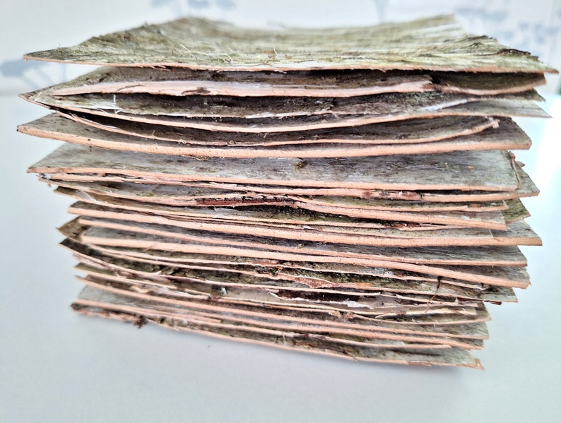 6 White Birch Bark Sheets. Birch Bark Decor.birch Sheets Craft. Birch ...