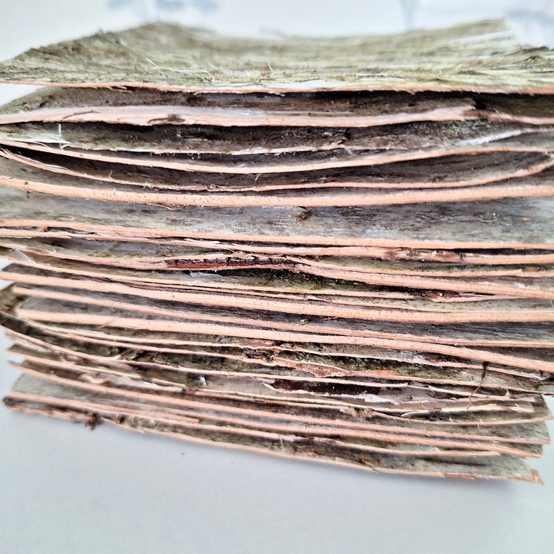 Birch Bark Sheets - Etsy