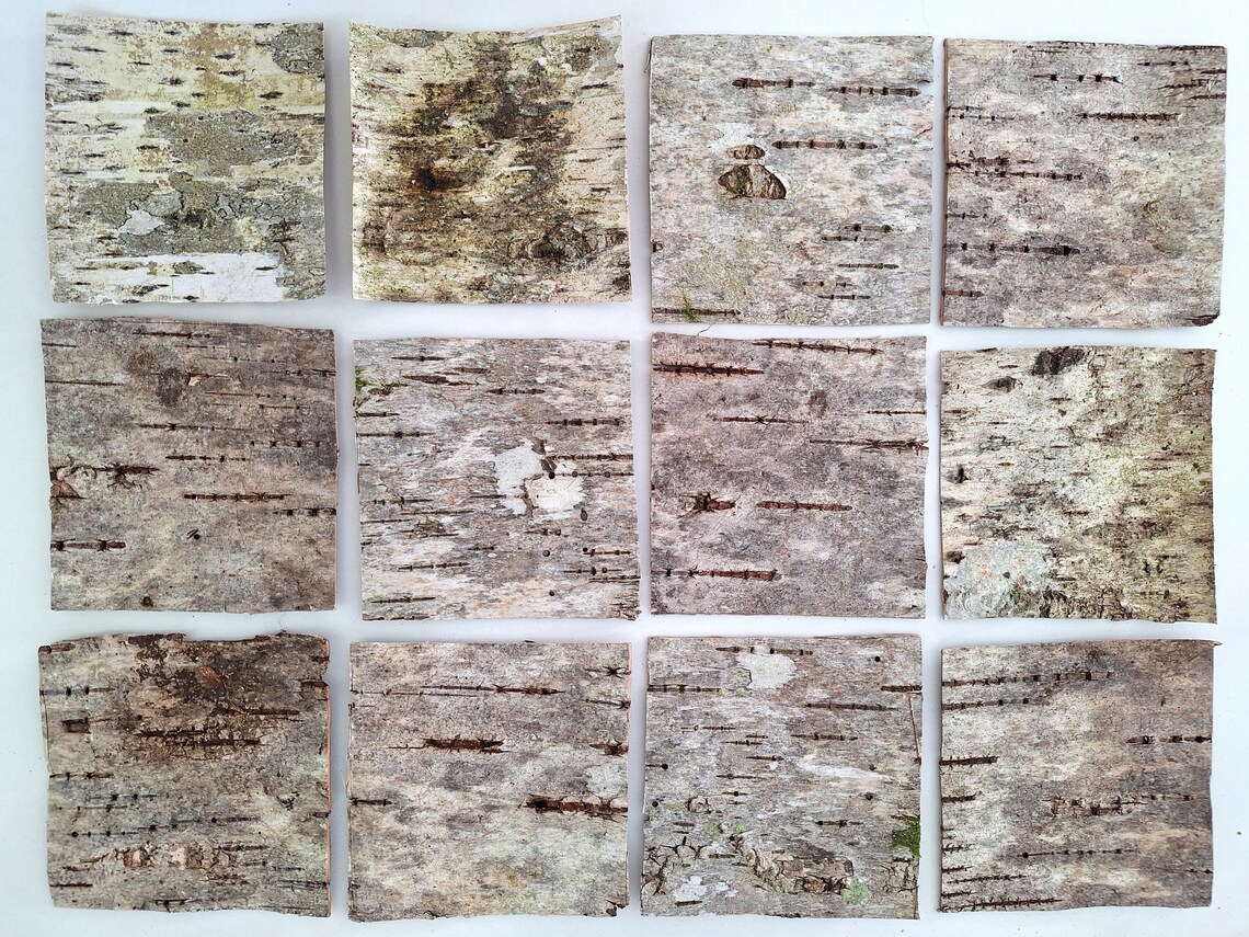 6 White Birch Bark Sheets. Birch Bark Decor.birch Sheets Craft. Birch ...