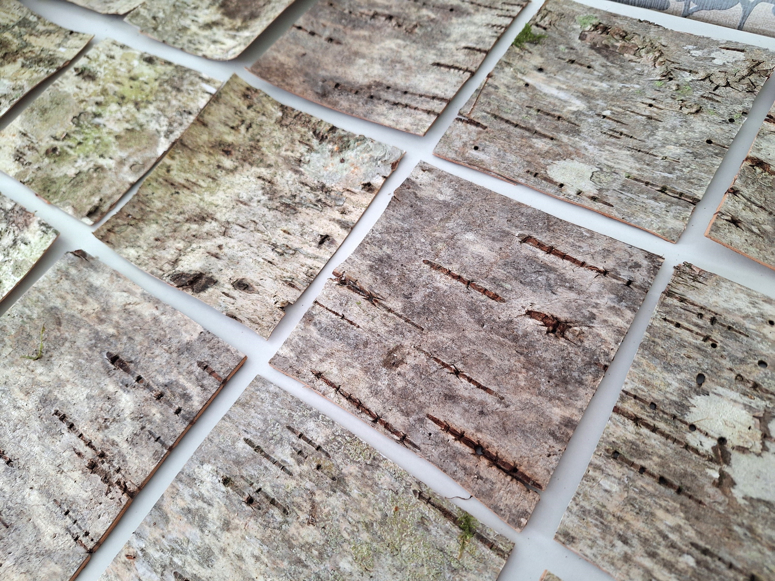 6 White Birch Bark Sheets. Birch Bark Decor.birch Sheets Craft. Birch ...