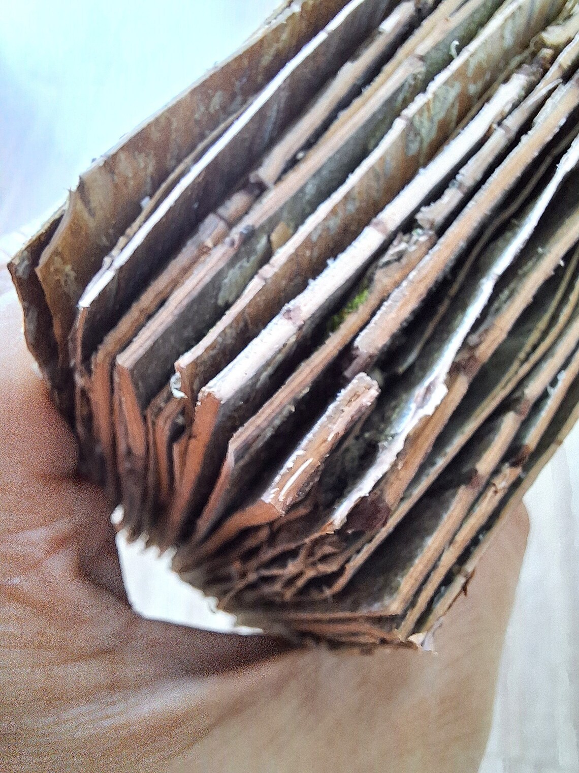 6 White Birch Bark Sheets. Birch Bark Decor.birch Sheets Craft. Birch ...