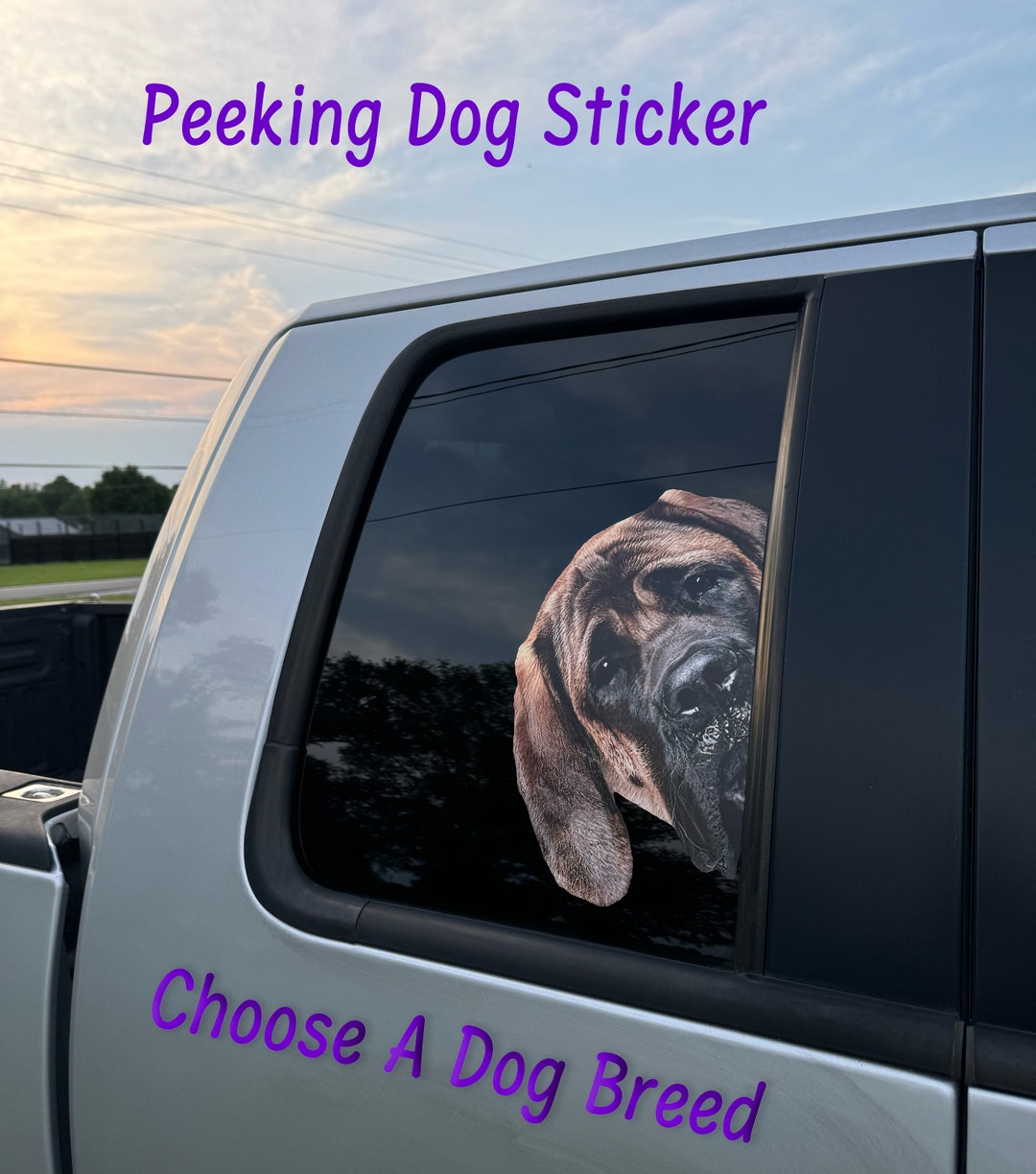 Peeking Dog Sticker (set of 2), Dog Sticker Customized With Favorite ...
