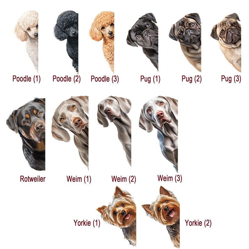 Peeking Dog Breed Sticker Set (8): Waterproof Vinyl Decals - Etsy