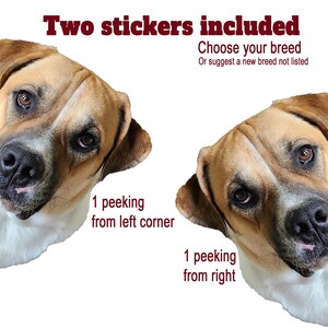 Peeking Dog Sticker (set of 2), Dog Sticker Customized With Favorite ...