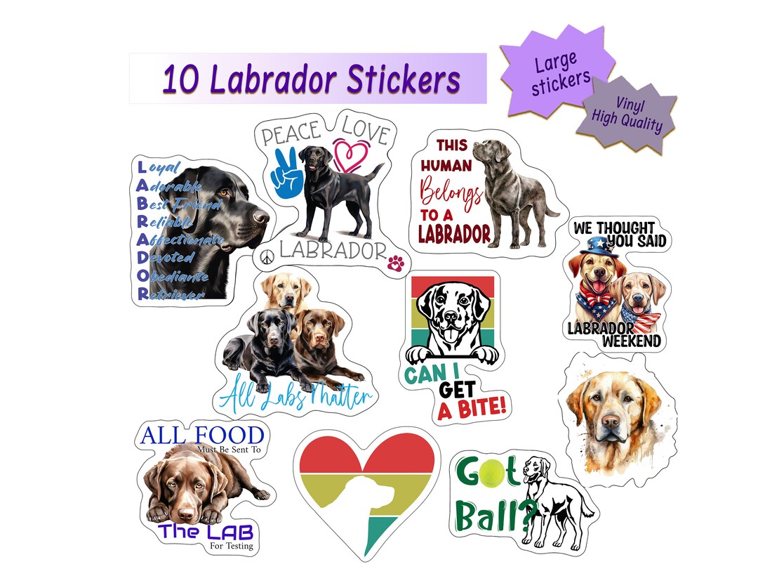 Labrador Stickers - Perfect Labrador Retriever Gift - Ten Waterproof ...