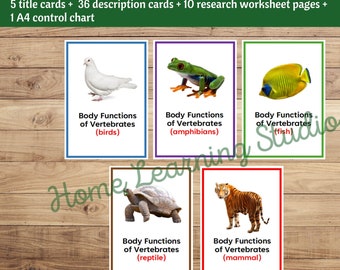 vertebrates animals mammals