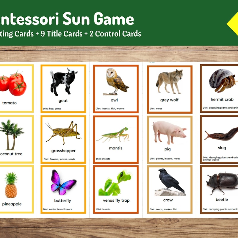 Montessori Game - Etsy