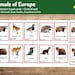 Animals of Europe | Montessori 3 Part Cards | Geography for Kids - Etsy