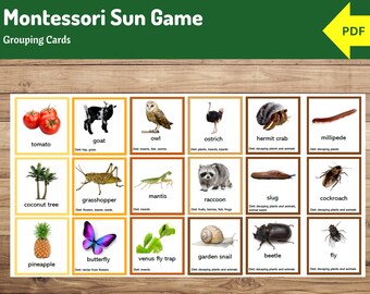 Montessori Sun Printable - Etsy