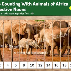 Montessori Sun Game 54 Sorting Cards 9 Title Cards 2 Control Cards ...