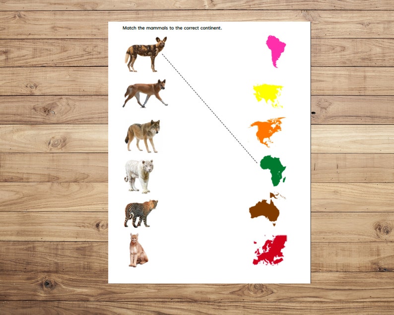 Animals of the Continents Sorting Set | 7 Mats + 108 Animal Cards + 5 Worksheets - Etsy