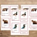 Animals of Europe | Montessori 3 Part Cards | Geography for Kids - Etsy
