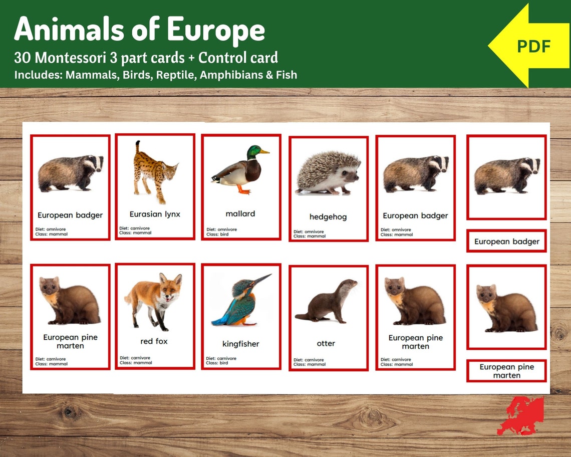 Animals of Europe | Montessori 3 Part Cards | Geography for Kids - Etsy