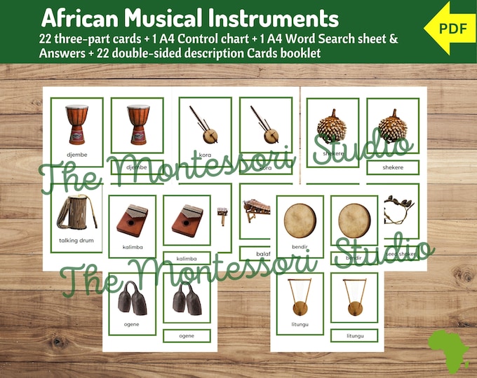 African Branch Loop Gourd Guitar Zaire - Etsy